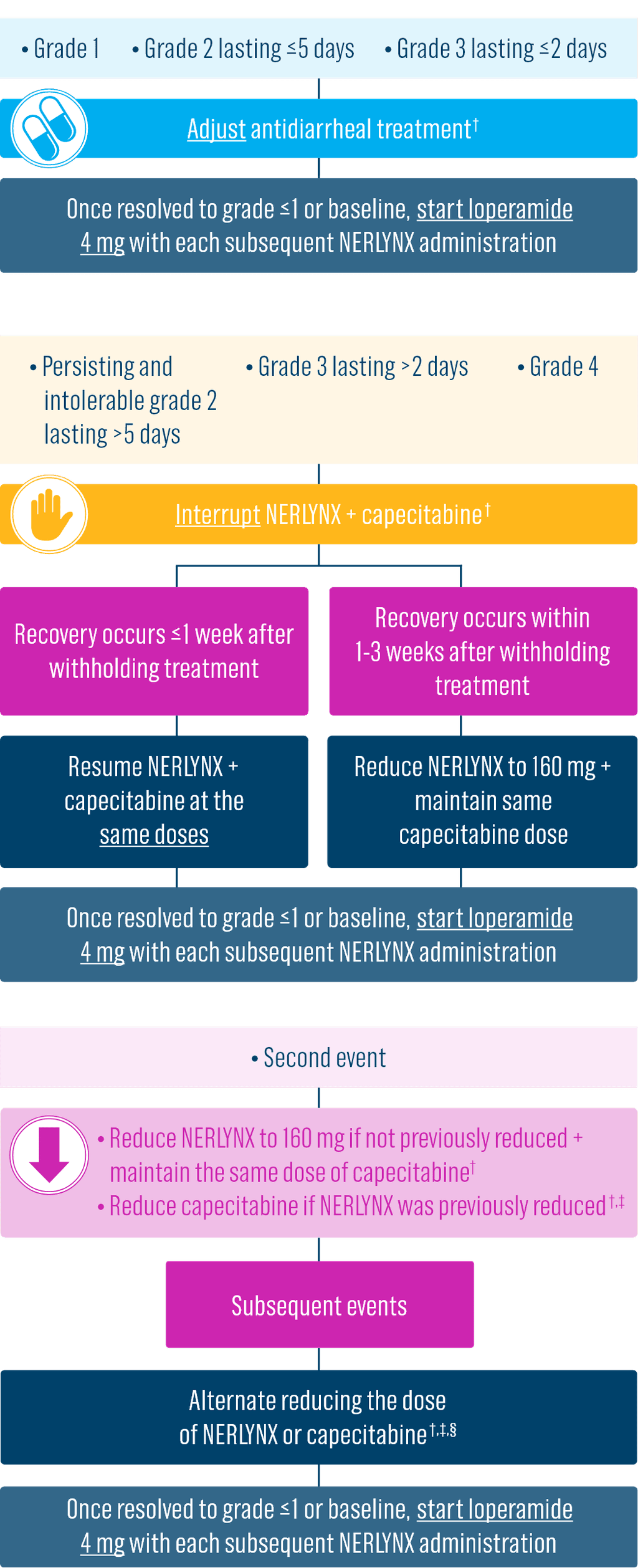 Metastatic treatment | NERLYNX® (neratinib) tablets